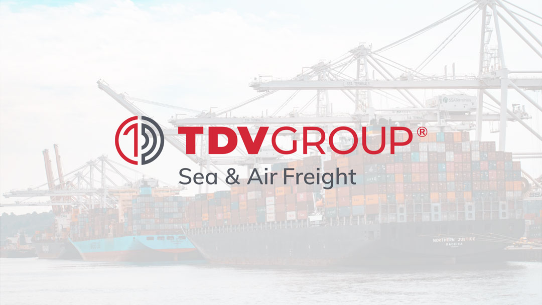 Services - TDV Group