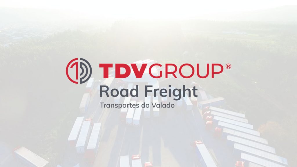 Services - TDV Group
